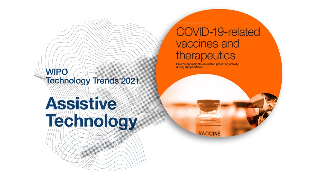 2021年技术与创新支持中心（TISC）报告